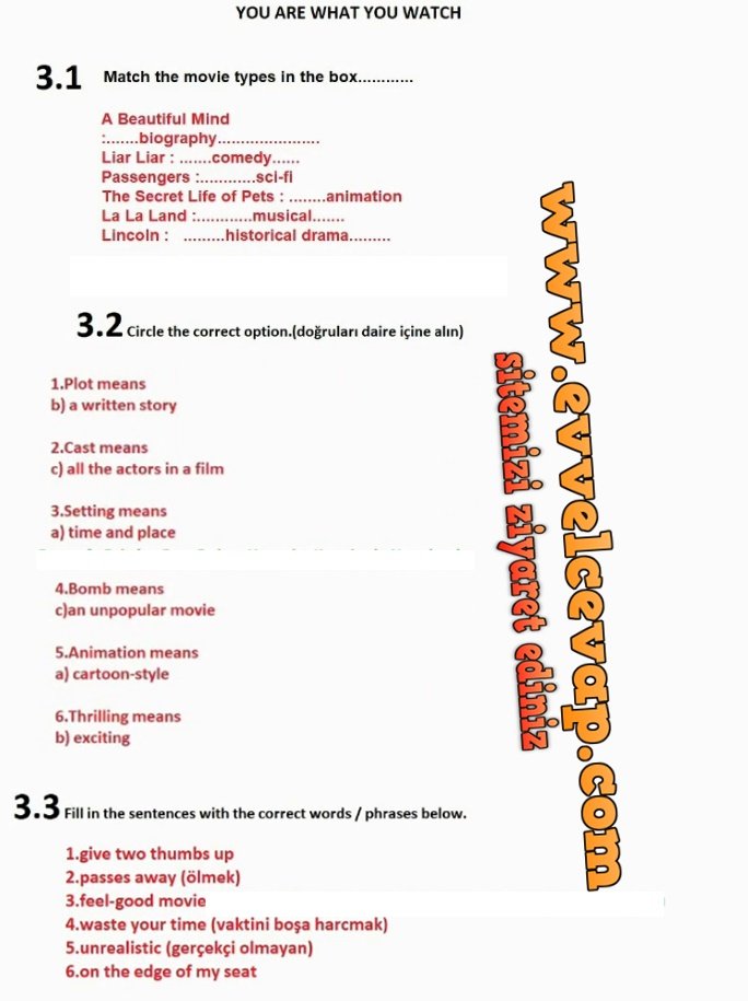 9. Sınıf Meb Yayınları İngilizce Çalışma Kitabı Sayfa 23 Cevabı - Evvel ...