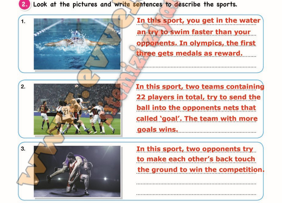 Look at the pictures and write sentences to describe the sports.