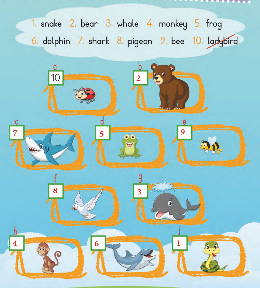 Match and say the words.