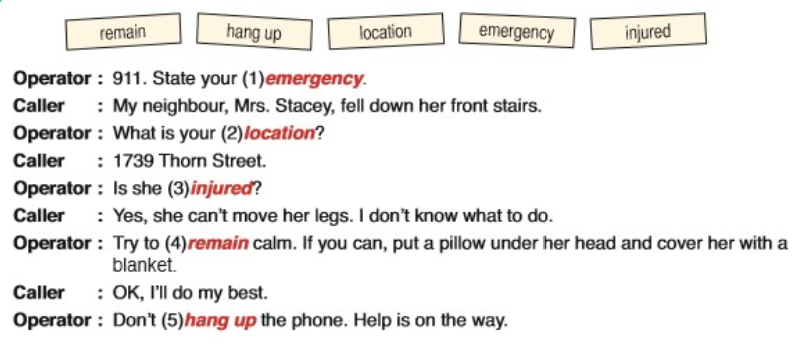 Fill in the blanks in the dialogue with the words below.