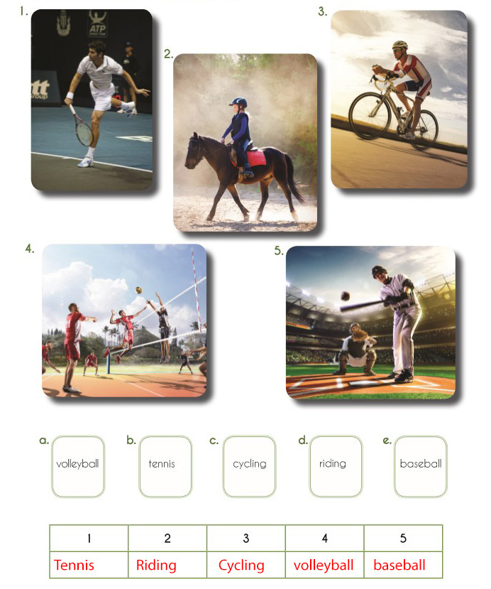 Match the sports with their picture.