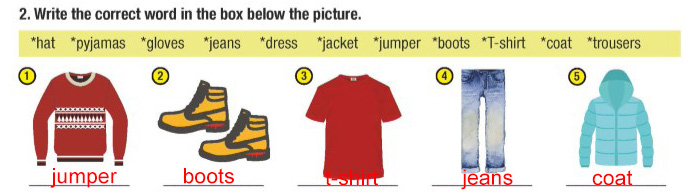 Write the correct word in the box below the picture.