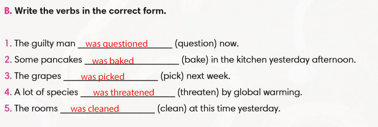 Write the verbs in the correct form.