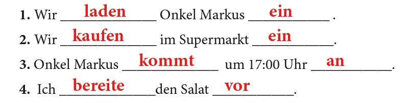 Ergänze die trennbaren Verben!