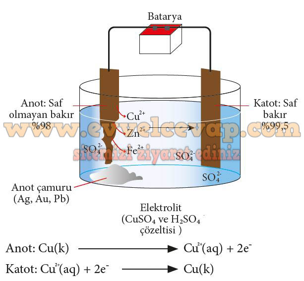 Bakırın saflaştırma işleminin gerçekleştiği elektroliz hücresini ...