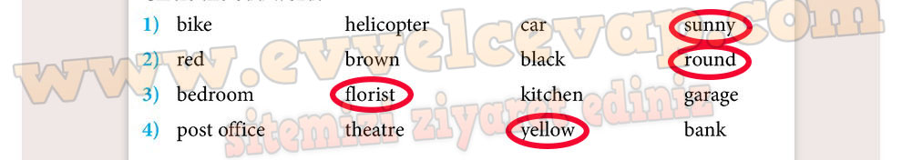 Circle the odd word.