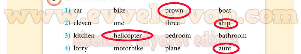 Circle the odd word.