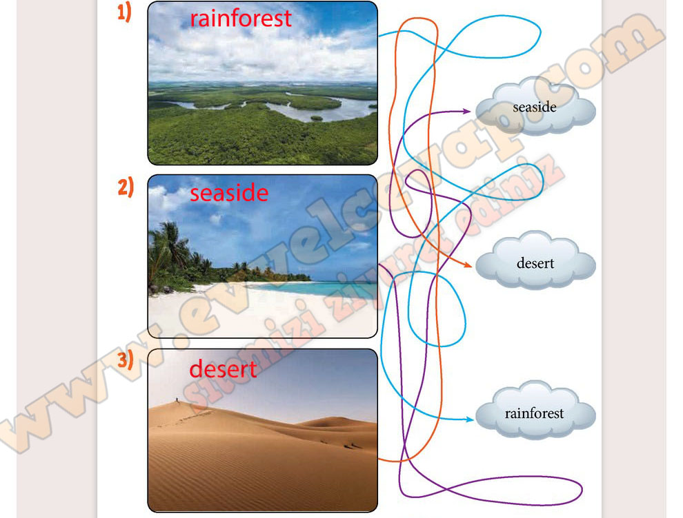 Follow the ropes and match the pictures with the words.