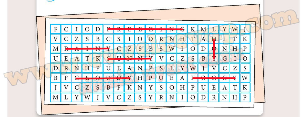 Look at C1 again and find the words in the puzzle.