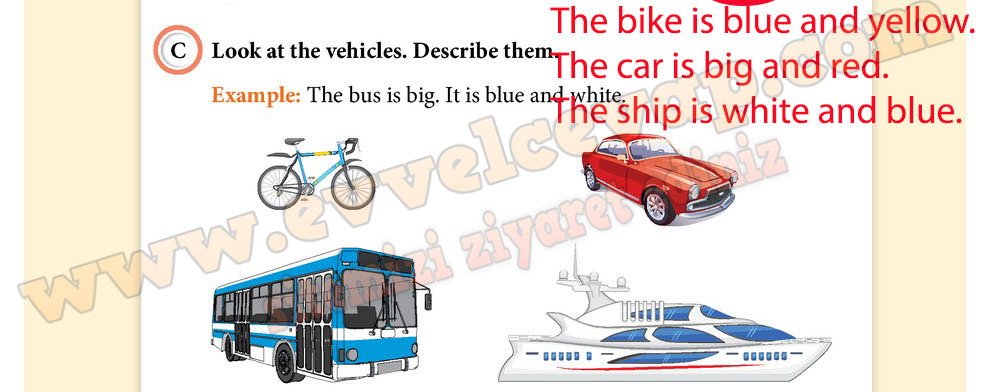 Look at the vehicles. Describe them.