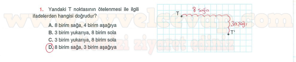 Yandaki T noktasının ötelenmesi ile ilgili ifadelerden hangisi doğrudur?
