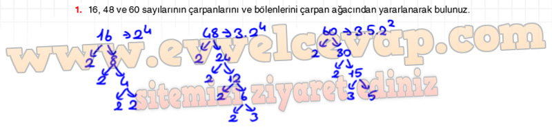 16, 48 ve 60 sayılarının çarpanlarını ve bölenlerini çarpan ağacından ...