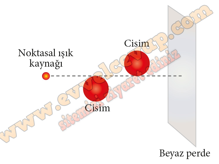 10. Sınıf Fizik Kazanım Kavrama Etkinlikleri Cevapları Sayfa 30