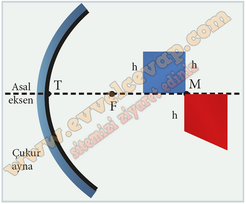 10. Sınıf Fizik Kazanım Kavrama Etkinlikleri Cevapları Sayfa 49