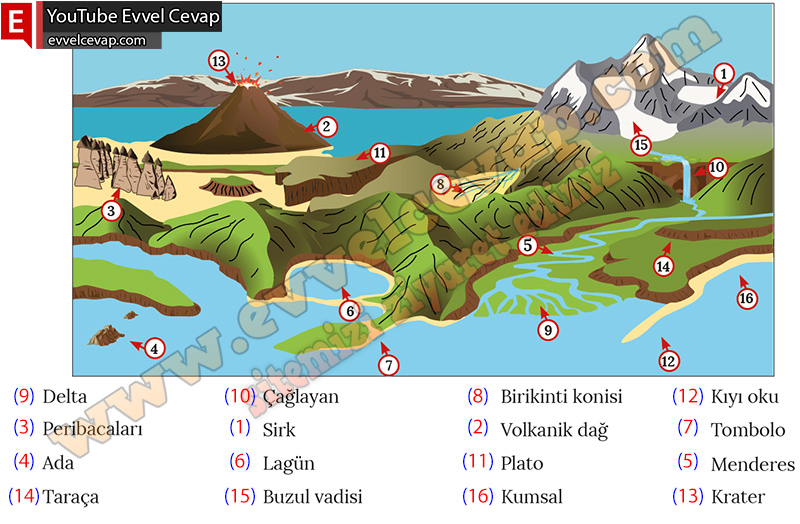 10. Sınıf Coğrafya Meb Yayınları Ders Kitabı Cevapları Sayfa 62
