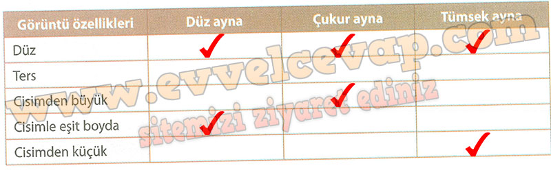 7. Sınıf Fen Bilimleri Ders Kitabı Cevapları Ferman Yayıncılık Sayfa 165