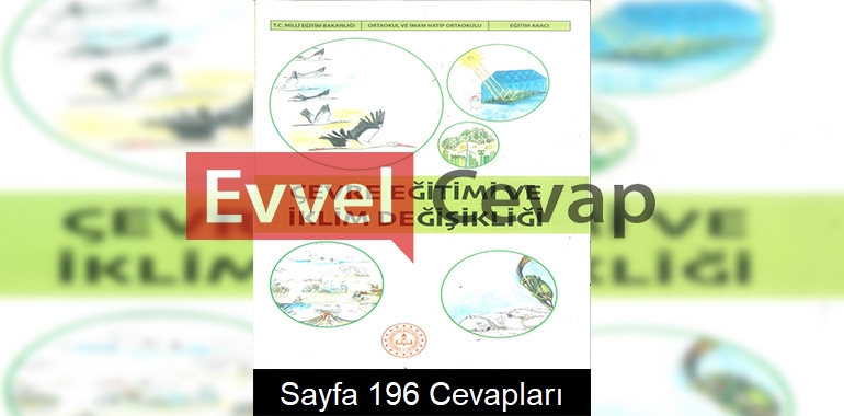 Çevre Eğitimi ve İklim Değişikliği Ders Kitabı Cevapları Meb Yayınları ...