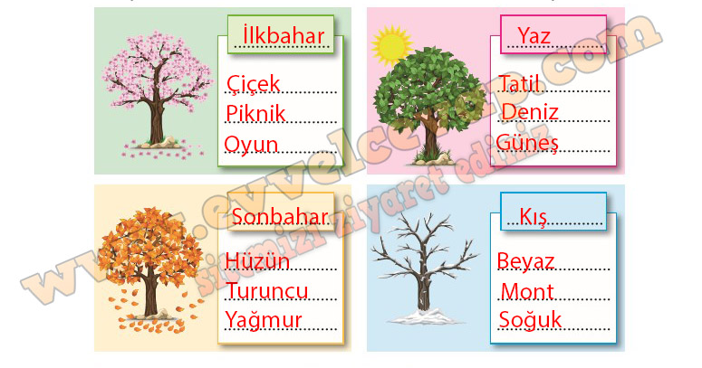 Dört Mevsim Metni Etkinlik Cevapları (2. Sınıf Türkçe) - Evvel Cevap