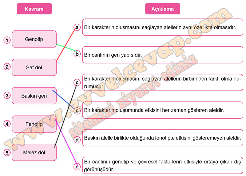 8. Sınıf Fen Bilimleri Ders Kitabı Cevapları Ata Yayınları Sayfa 59