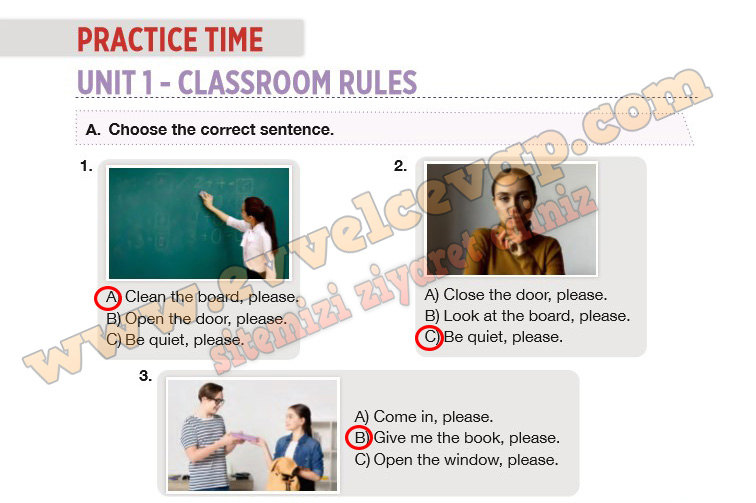 Choose the correct sentence.