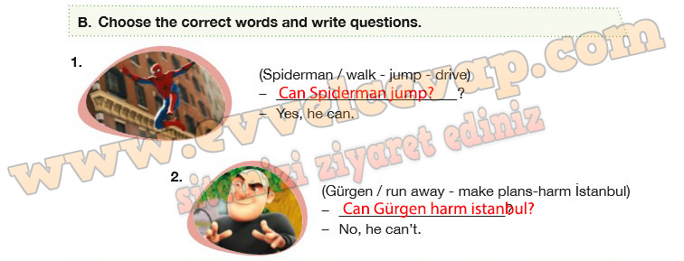 Choose the correct words and write questions.