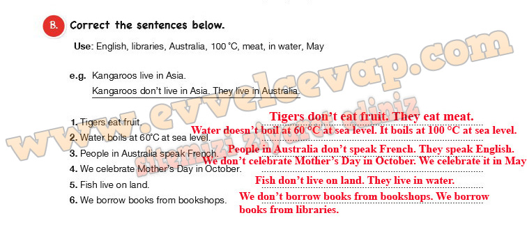 Correct the sentences below.