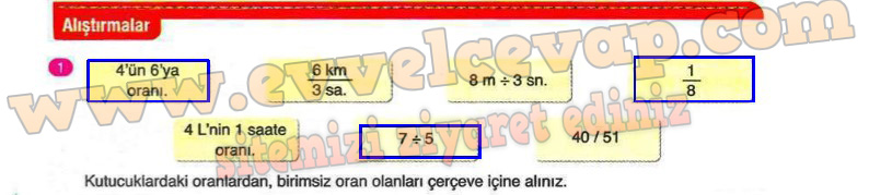 Kutucuklardaki oranlardan, birimsiz oran olanları çerçeve içine alınız.