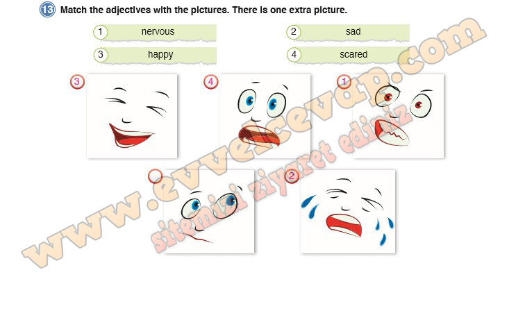 Match the adjectives with the pictures. There is one extra picture.