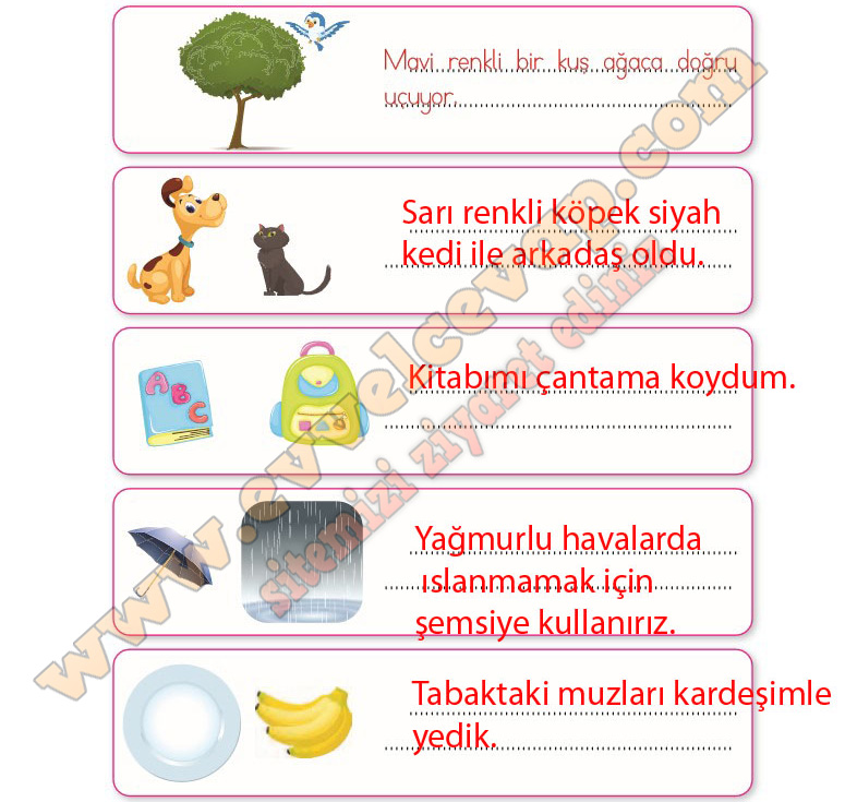 Olsam Metni Etkinlik Cevapları (1. Sınıf Türkçe) - Evvel Cevap