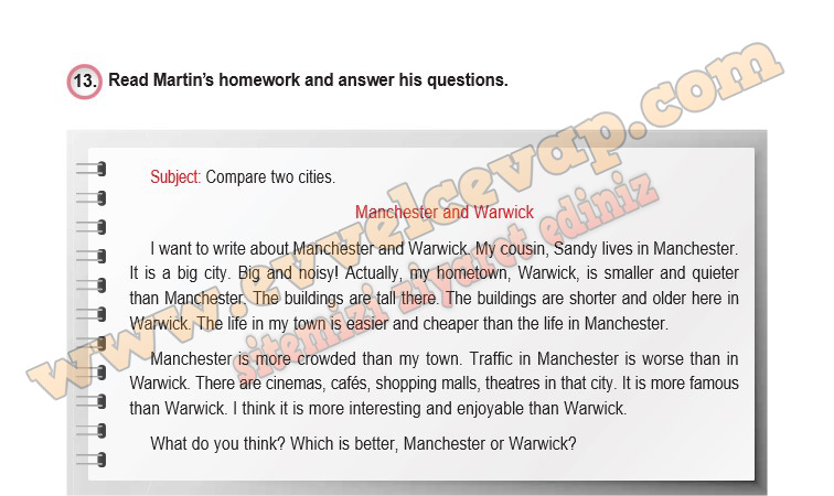 Read Martin's homework and answer his questions.
