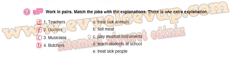 Work in pairs. Match the jobs with the explanations. There is one extra ...