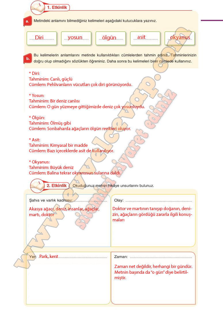 6. Sınıf Anka Yayınları Türkçe Ders Kitabı Cevapları Sayfa 172-173-174 ...