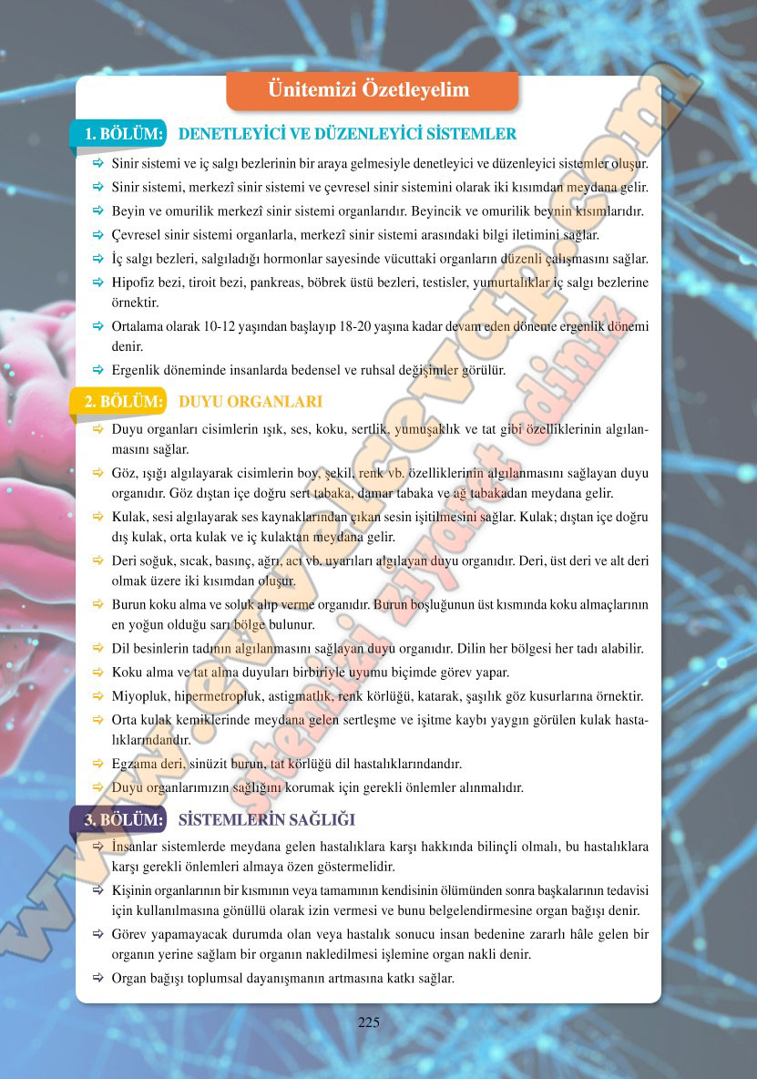 6. Sınıf Adım Adım Yayınları Fen Bilimleri Ders Kitabı Cevapları Sayfa ...