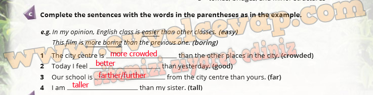 Complete the sentences with the words in the parentheses as in the example.