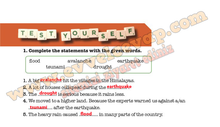 Complete the statements with the given words.