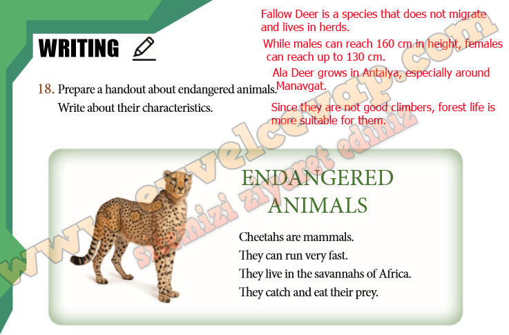 Prepare a handout about endangered animals. Write about their ...