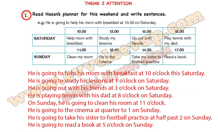 Read Hasan's planner for this weekend and write sentences.