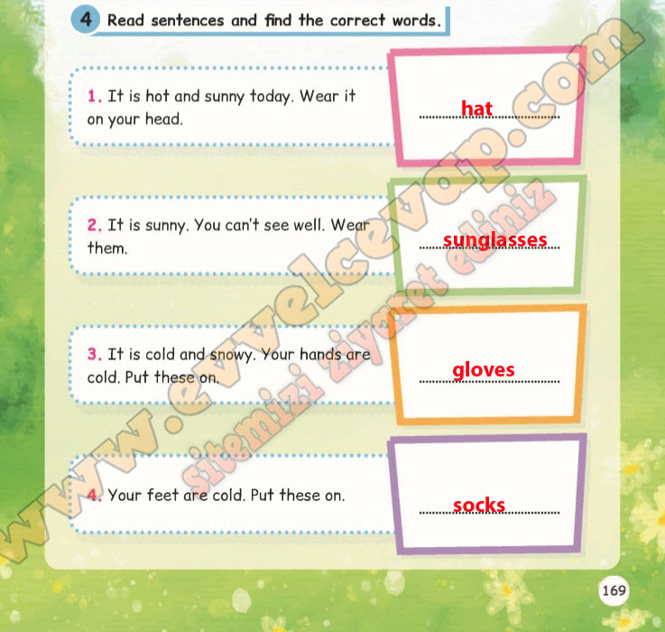 Read sentences and fînd the correct words.