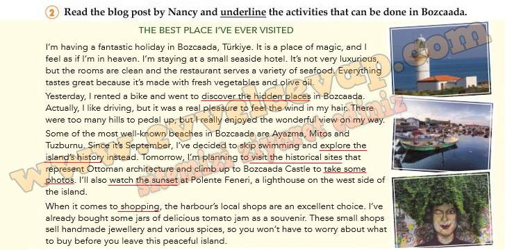 Read the blog post by Nancy and underline the activities that can be ...