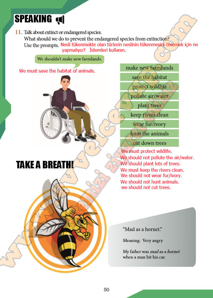 Talk about extinct or endangered species. What should we do to prevent ...