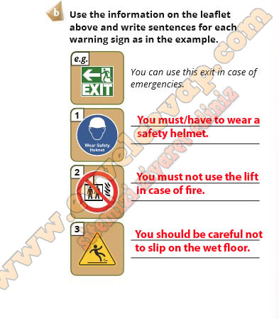 Use the information on the leaflet above and write sentences for each ...