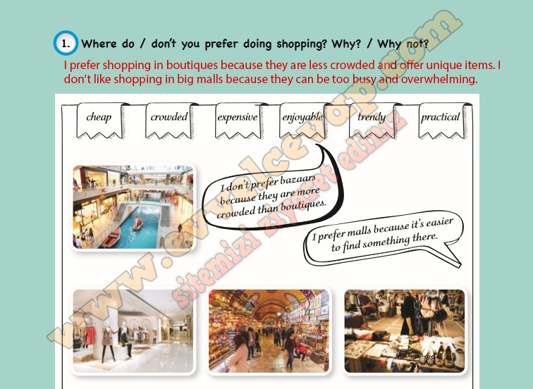 Where do / don't you prefer doing shopping? Why? / Why not?