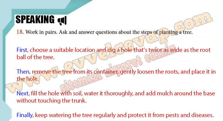 Work in pairs. Ask and answer questions about the steps of planting a tree.