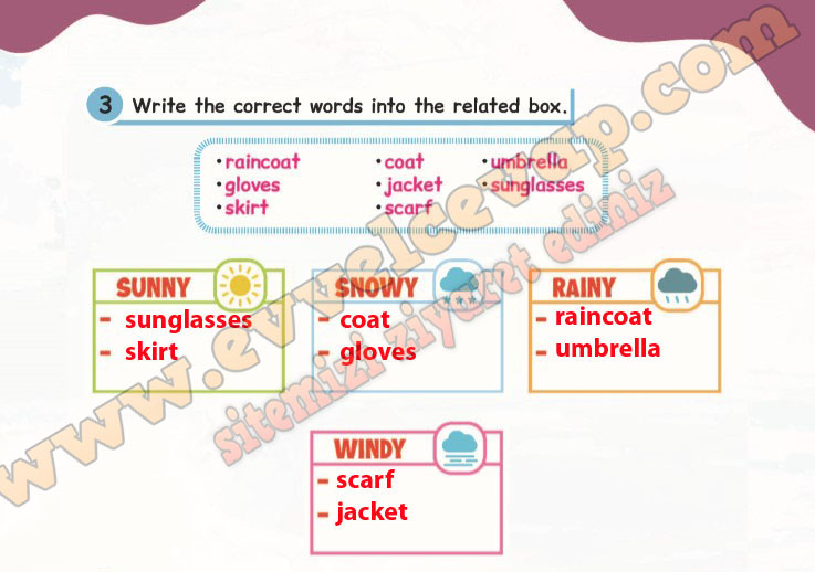 Write the correct words into the related box. - Evvel Cevap