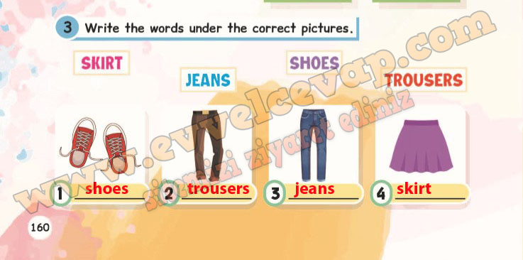 Write the words under the correcf pictures. - Evvel Cevap