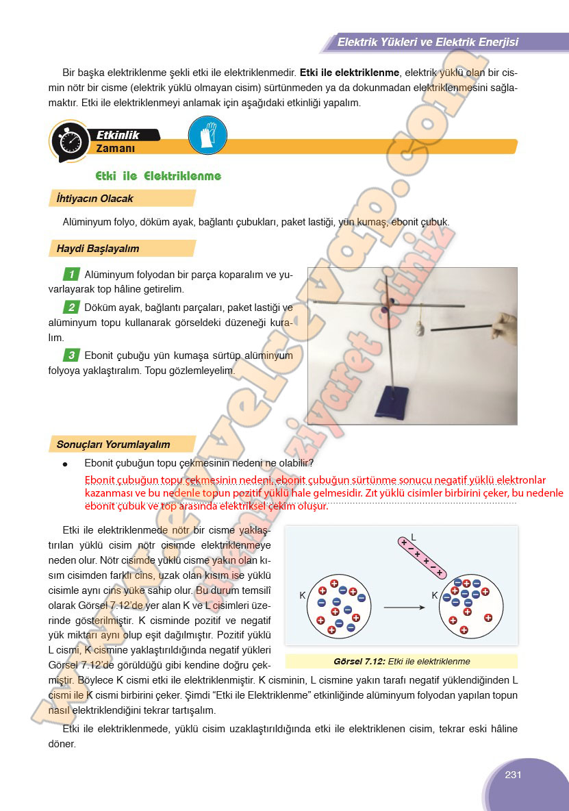 8. Sınıf Ata Yayınları Fen Bilimleri Ders Kitabı Cevapları Sayfa 228 ...