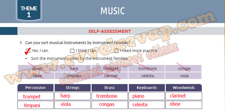 Can you sort musical Instruments by instrument families?