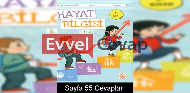 1. Sınıf Hayat Bilgisi Ders Kitabı Cevapları Meb Yayınları (1. Kitap ...