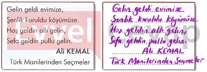 Anadolu Metni Cevapları (3. Sınıf Türkçe)