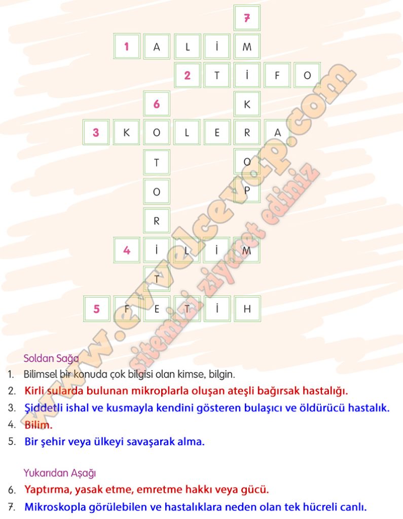 Mikrobu İlk Keşfeden Âlim Akşemsettin Dinleme Metni Etkinlik Cevapları ...